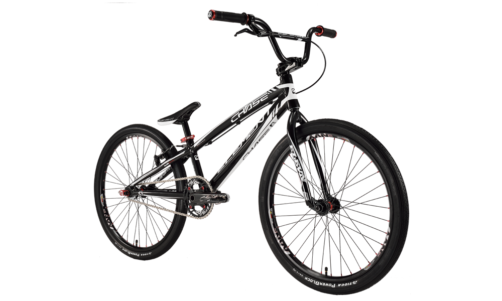 2015 Chase Element BMX Cruiser
