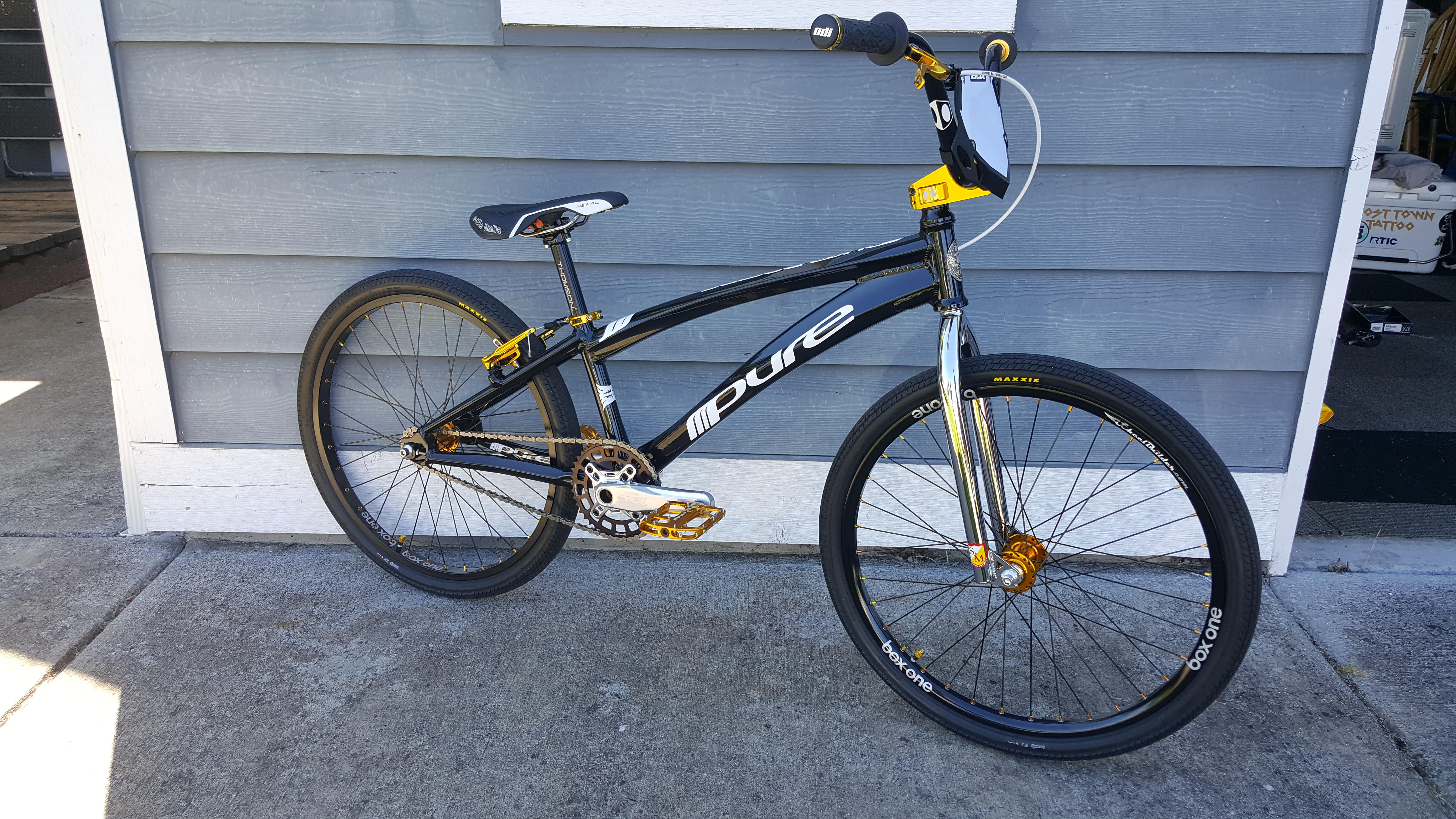 BIKE OF THE DAY Pure V4 Pro XXL Cruiser