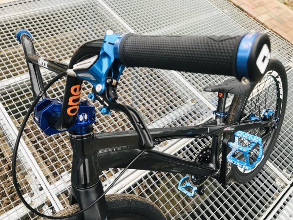 Bike Of The Day: Matt's ICE F-118 Cruiser Limited Edition