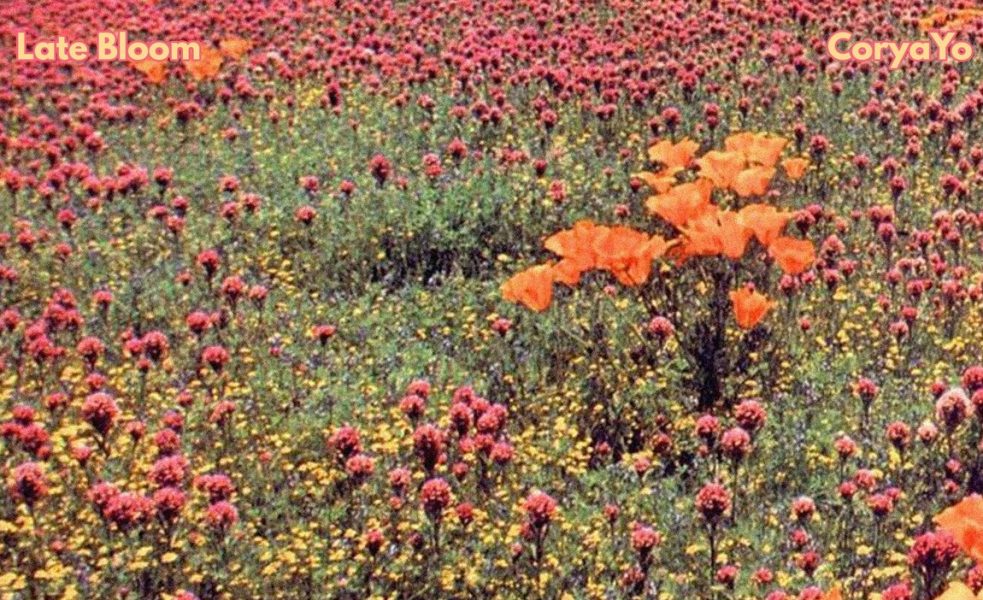 "Late Bloom" By CoryaYo Is Chill-Hop Dopeness!