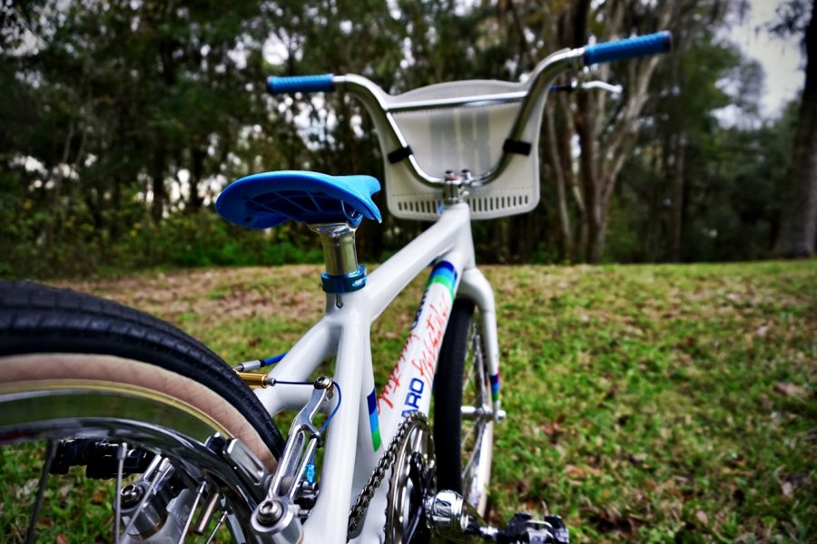 B.O.T.D. Steve's Retro-Mod Haro Citizen XXL