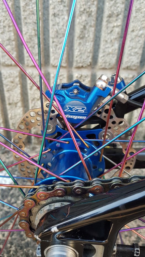 Bike Of The Day: Jodie's Speedco Velox Pro