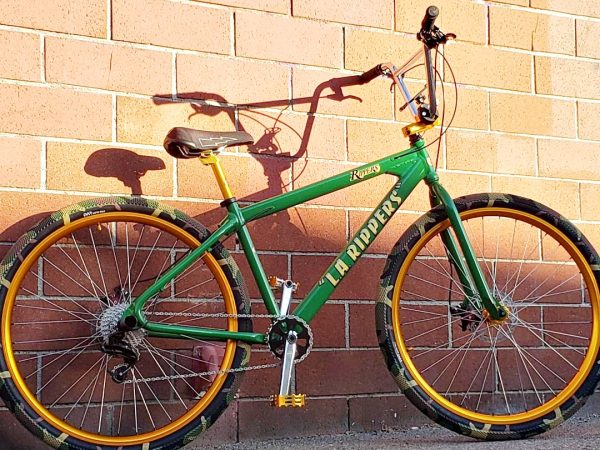 Bike Of The Day: Rick's SE Bikes Custom Fast Ripper