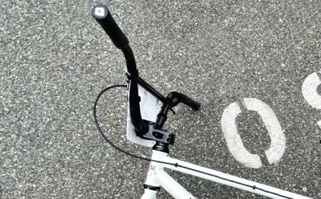 Zeronine Has A 29" BMX Complete Built By Gary Turner