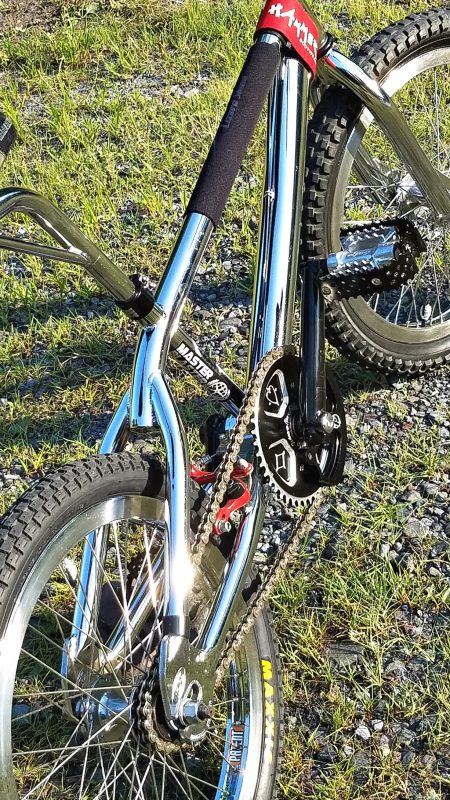 Bike Of The Day: Po Taylor's 1999 Haro Supra