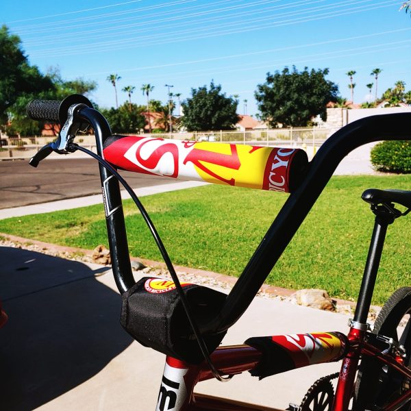 Bike Of The Day: Dominick's Custom Mongoose Title Pro XL