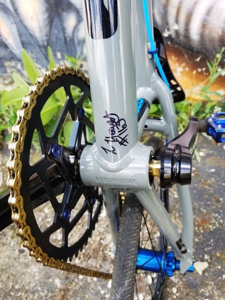 Bike Of The Day: Ryden's Rift ES 20 Jr.