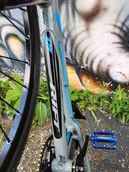 Bike Of The Day: Ryden's Rift ES 20 Jr.