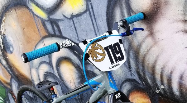 Bike Of The Day: Ryden's Rift ES 20 Jr.