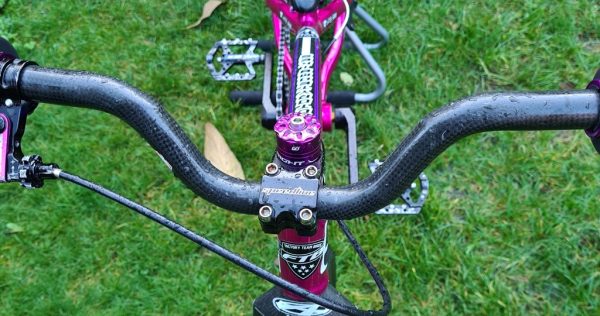 Bike Of The Day: FTB Mini Custom Powder Coat Candy Pink