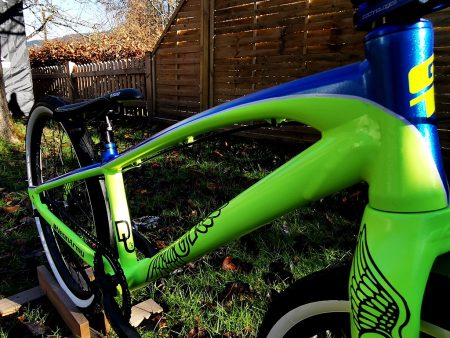 Bike Of The Day: Sebastian's GT Speed Series ProXL Cruiser