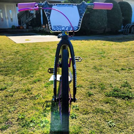 Bike Of The Day: Zeronine Works Mini Cruiser