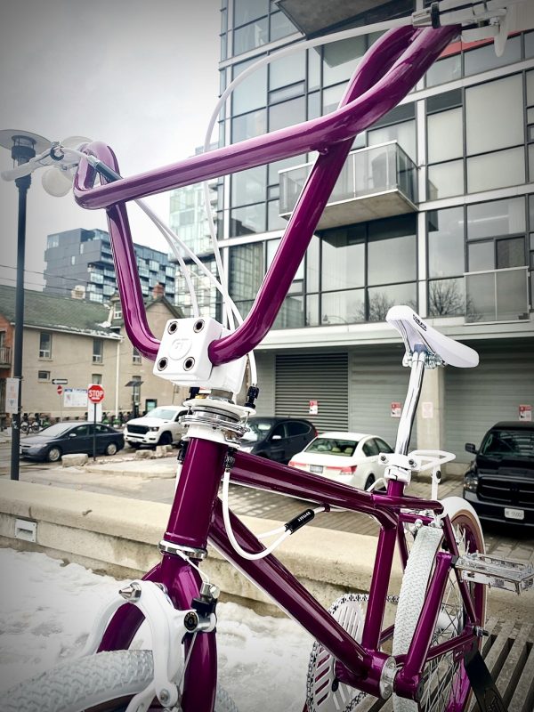 Bike Of The Day: Duro's "Purple Rain" 1993 Dyno