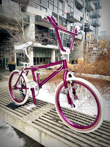 Bike Of The Day: Duro's "Purple Rain" 1993 Dyno