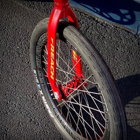 Bike Of The Day: Moe's Custom Yess BMX Type-X Pro XL