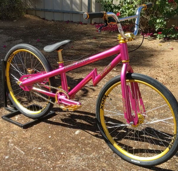Bike Of The Day: Donald's Custom Grump Lightning Bolt