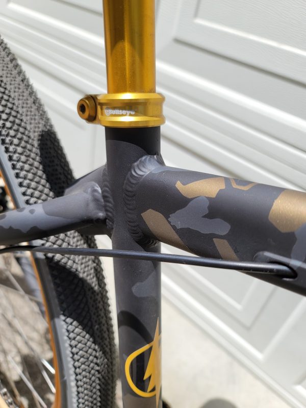 Bike Of The Day: Joe's Custom Painted 2020 SE Fast Ripper