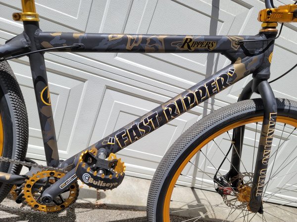 Bike Of The Day: Joe's Custom Painted 2020 SE Fast Ripper