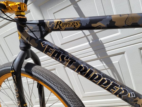 Bike Of The Day: Joe's Custom Painted 2020 SE Fast Ripper