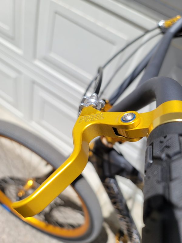 Bike Of The Day: Joe's Custom Painted 2020 SE Fast Ripper