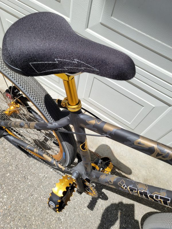 Bike Of The Day: Joe's Custom Painted 2020 SE Fast Ripper