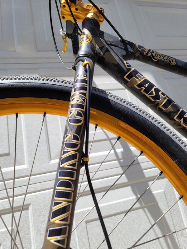 Bike Of The Day: Joe's Custom Painted 2020 SE Fast Ripper