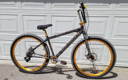 Bike Of The Day: Joe's Custom Painted 2020 SE Fast Ripper