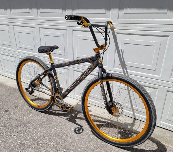 Bike Of The Day: Joe's Custom Painted 2020 SE Fast Ripper