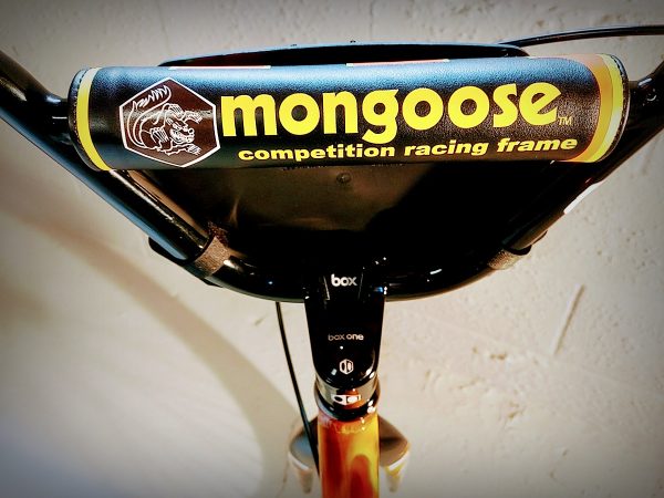 Bike Of The Day: Peter's Custom Painted 2020 Mongoose Title Pro