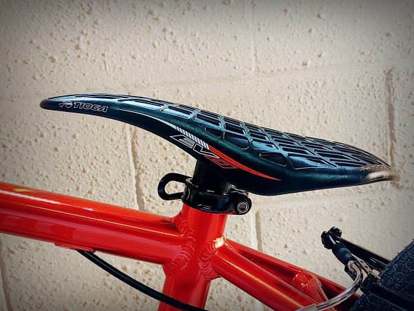 Bike Of The Day: Peter's Custom Painted 2020 Mongoose Title Pro