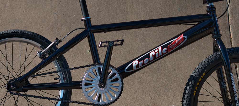 2001 Profile Racing, Racer Pro XXL, Bike Of The Day