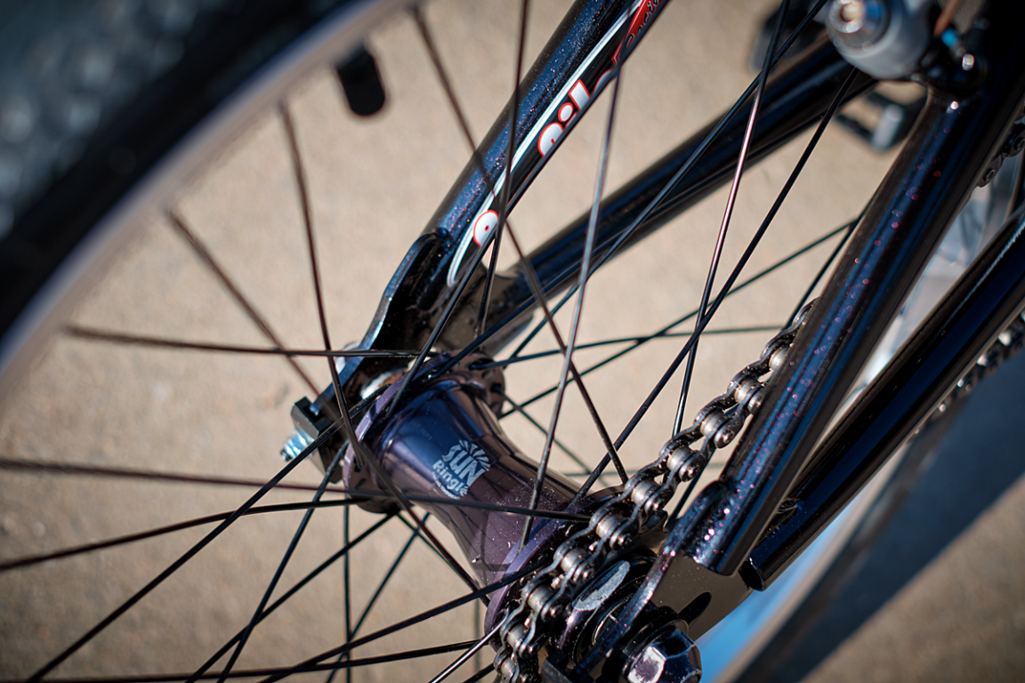 2001 Profile Racing, Racer Pro XXL, Bike Of The Day