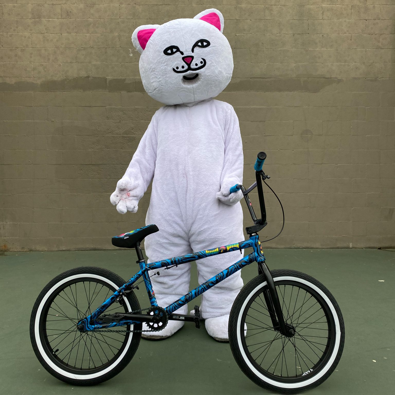 Psychedelic Subrosa x RipNDip BMX Bike Collabo!