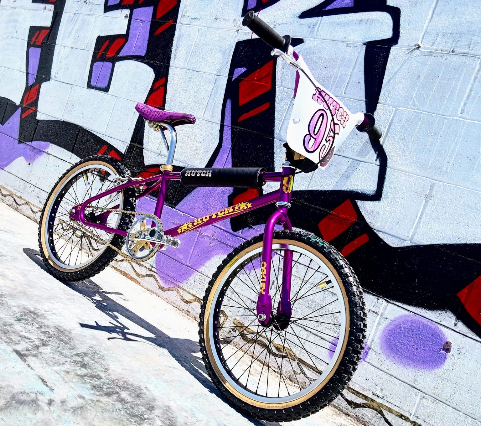 Sean's 1984 Lollipop Purple Hutch Expert - Bike Of The Day