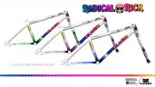 Radical Rick Finally Gets His Signature Haro BMX Bike