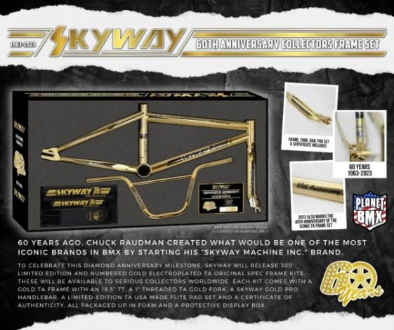 Gold Plated Skyway 60th Anniversary Collectors 20" T/A