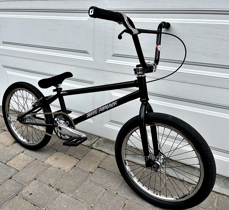 Bike Of The Day: Frank's 2023 S Steel Panther BMX Bike