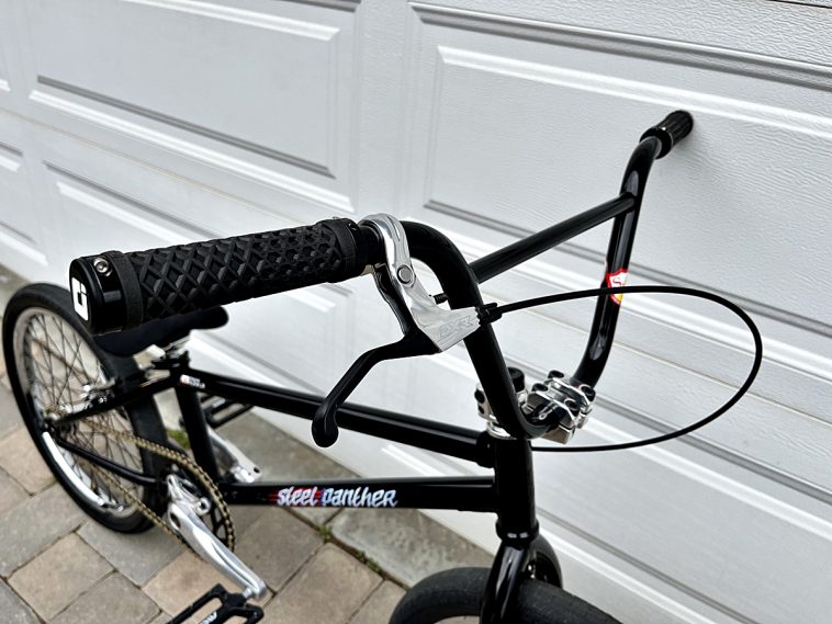 Bike Of The Day: Frank's 2023 S Steel Panther BMX Bike