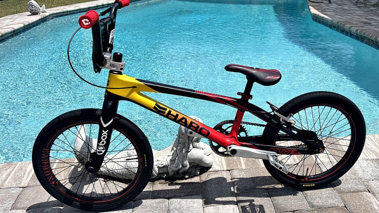 Bike Of The Day: Parker's Fate Rat Rod Pro XL