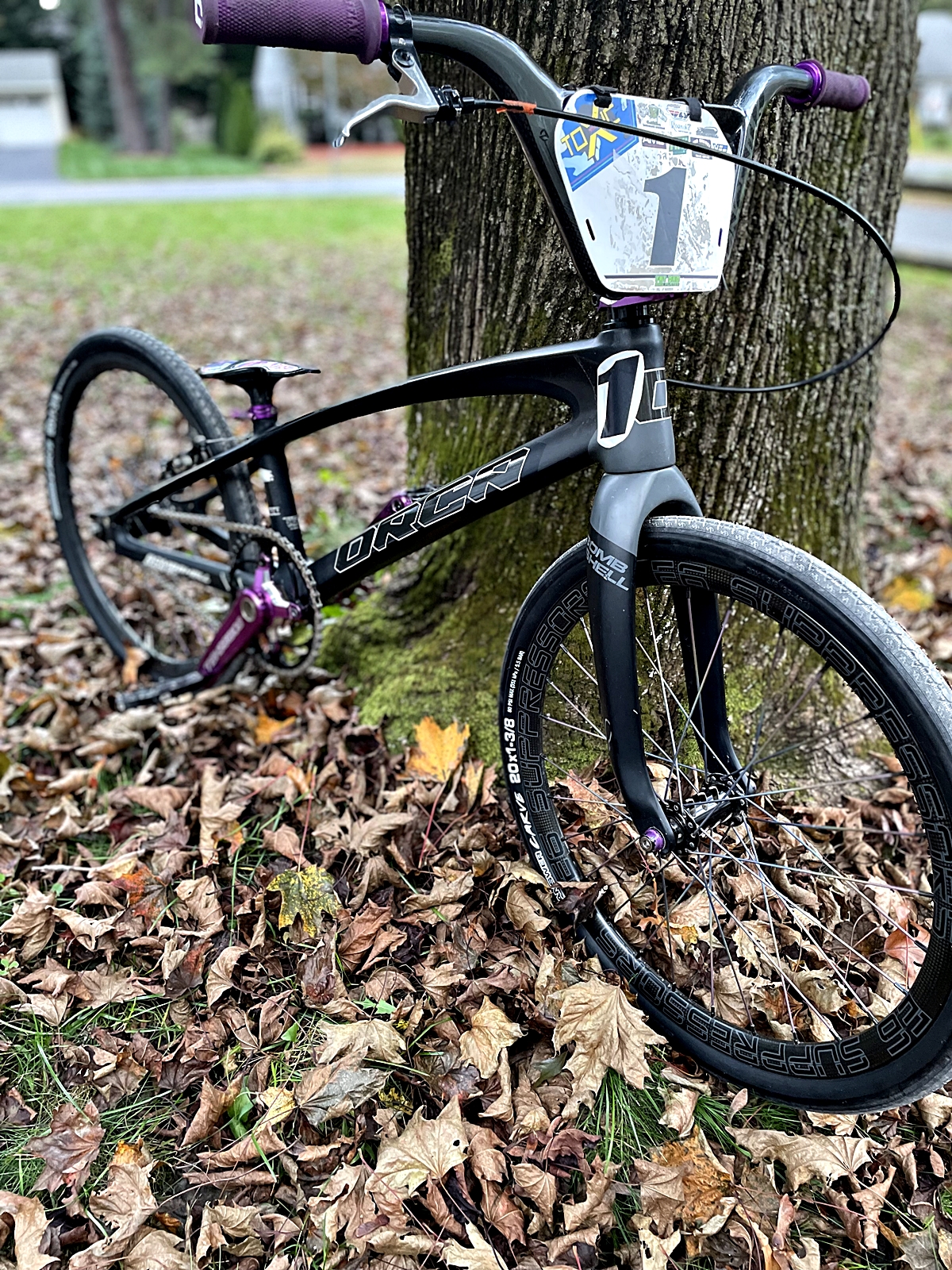 2023 Avent Orca Exprt XL, Bike Of The Day