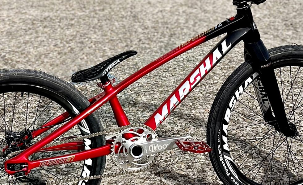 Bike Of The Day: 2023 Marshal Punisher V2 24P BMX Bike