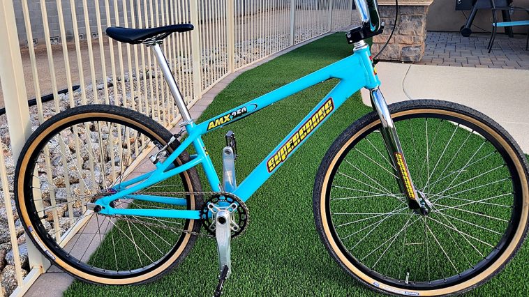 Bike Of The Day: Ralla's Custom Painted Chase 4.0 BMX Cruiser