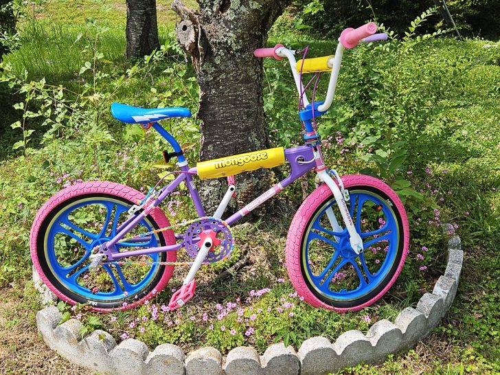 Bike Of The Day: William's 2022 Stranger Things Mongoose