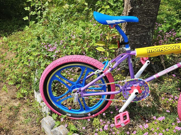 Bike Of The Day: William's 2022 Stranger Things Mongoose