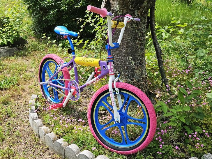 Bike Of The Day: William's 2022 Stranger Things Mongoose