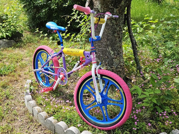 Bike Of The Day: William's 2022 Stranger Things Mongoose