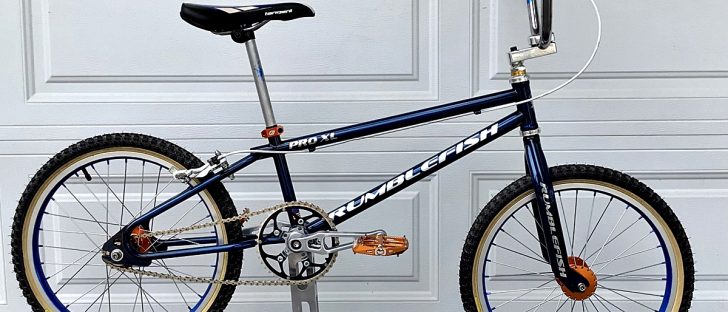 Elf BMX Products Makes DX 29" Cruiser Frame x Forks