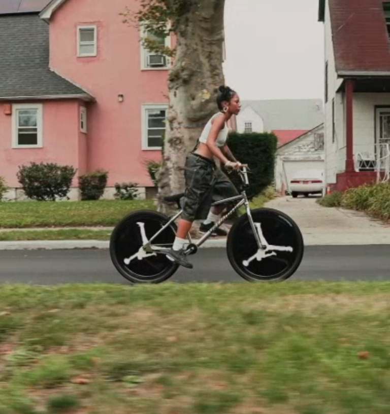 Nigel Sylvester BIKE AIR BMX Bike Made By Specialized