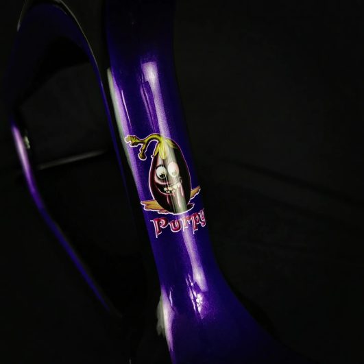 Ice Raptor BMX Frame And Fork 2025 Colors Are Sick