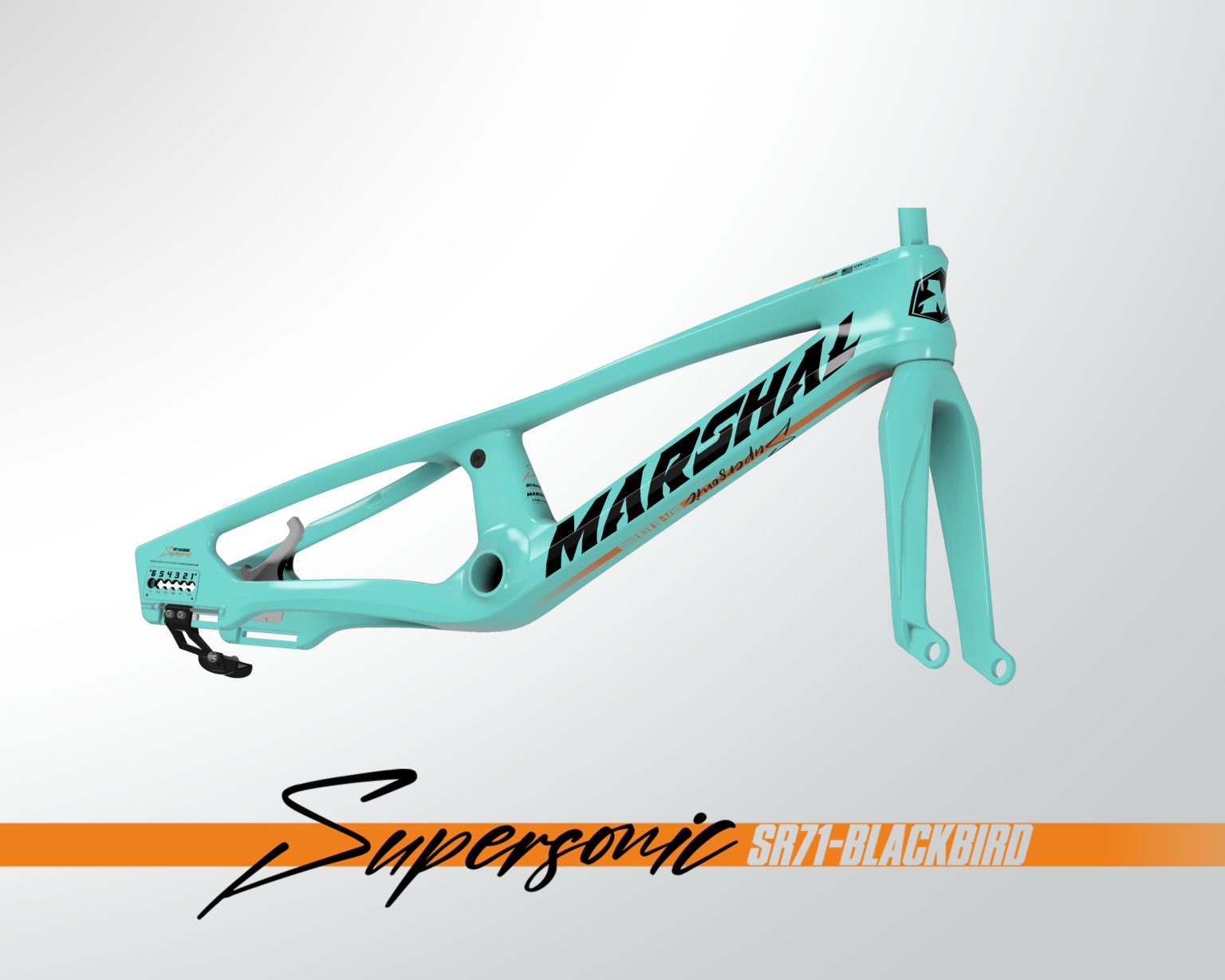Marshal SR71 Blackbird Supersonic Carbon BMX Frame x forks